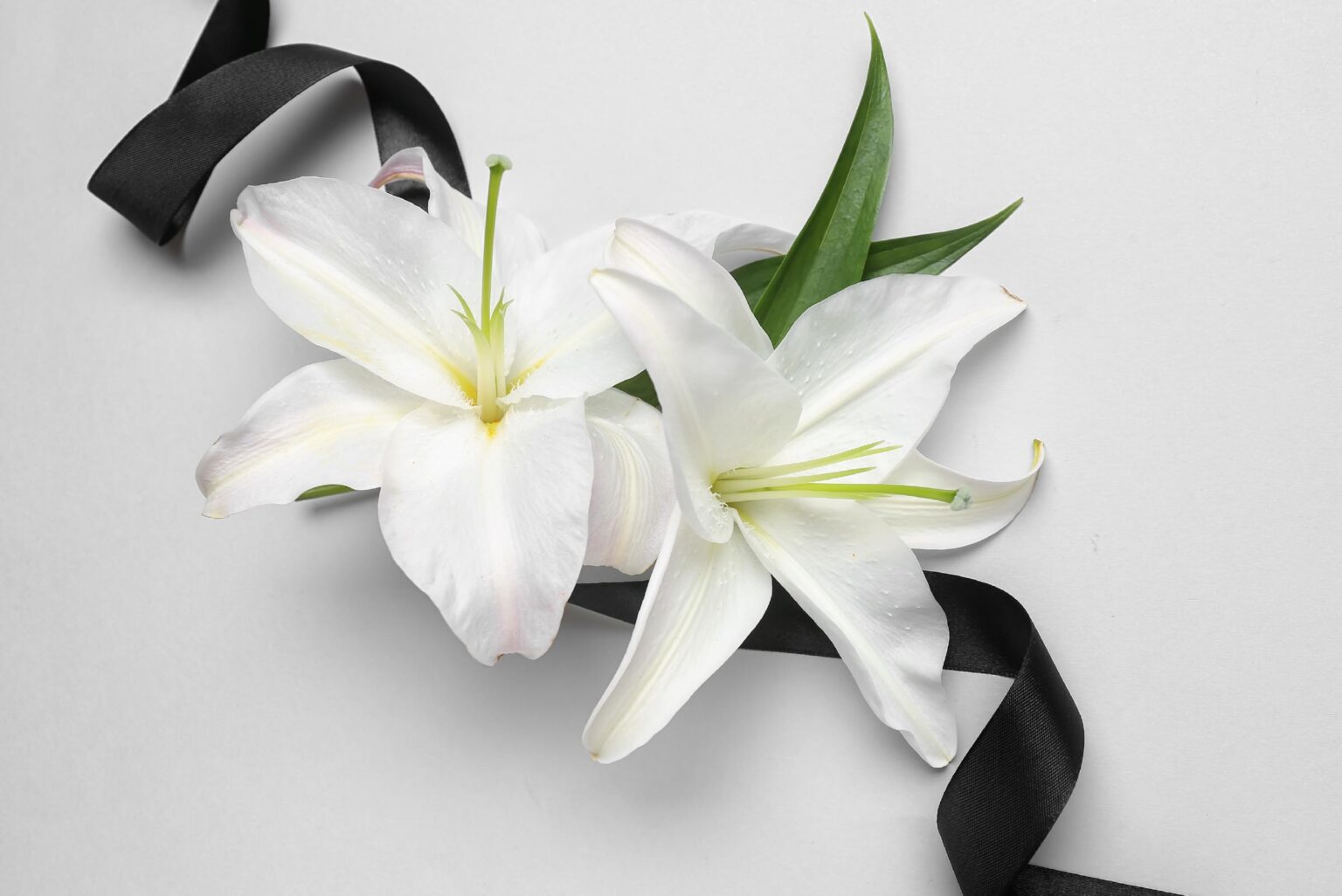 Texico Conference of Seventh-Day Adventists serving New Mexico & West Texas